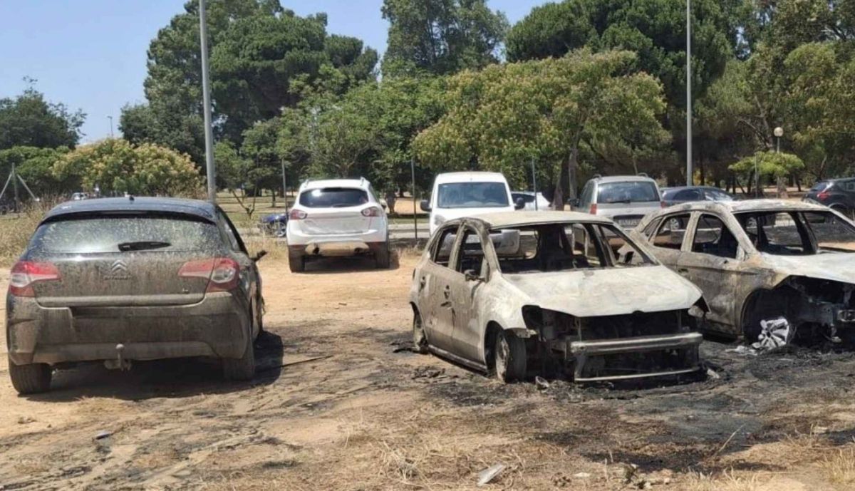 Nueve coches afectados y diez hectáreas de pasto quemado: así ...