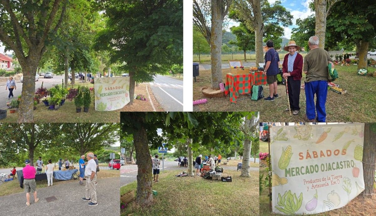 El Mercado de los Sábados de Ojacastro