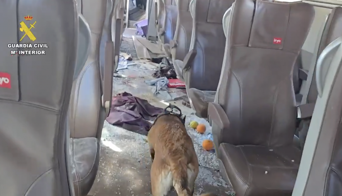 En las entrañas de los trenes: así trabajan los perros de la Guardia ...