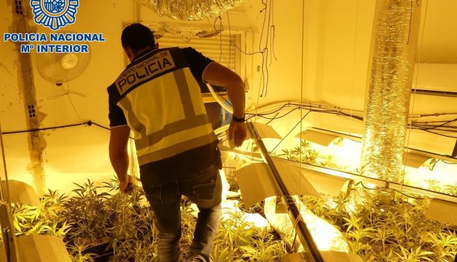 Desmantelan plantaciones de marihuana en cuatro de los cinco pisos de un bloque okupa de Sanlúcar