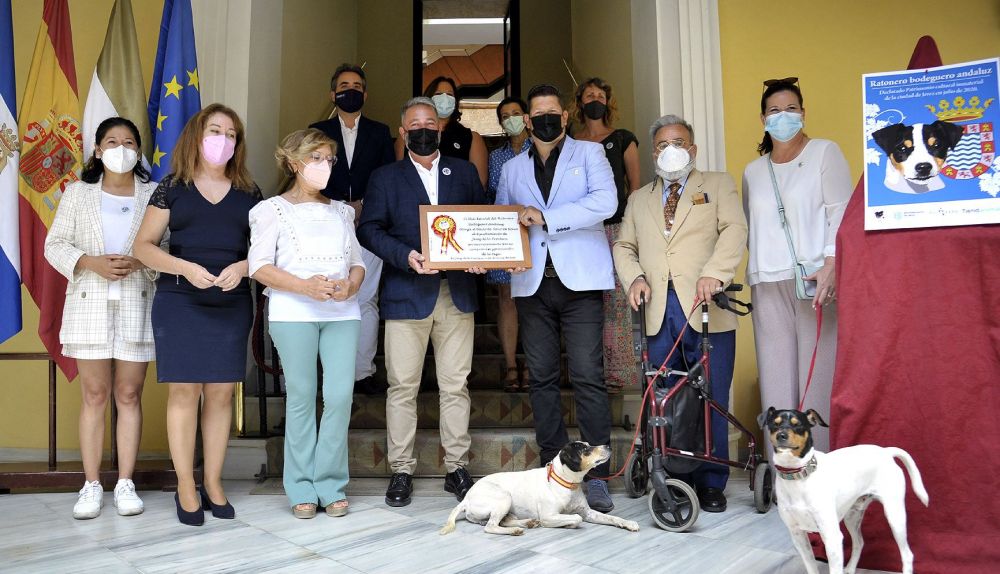 El ratonero bodeguero andaluz, raza autóctona de Jerez, y...